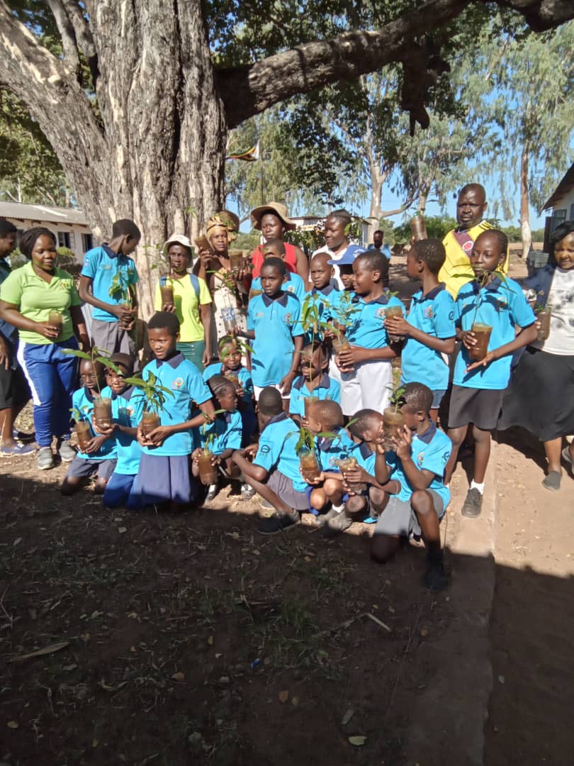 SGP-GEF and UNDP – Climate Change – Teach For Zimbabwe