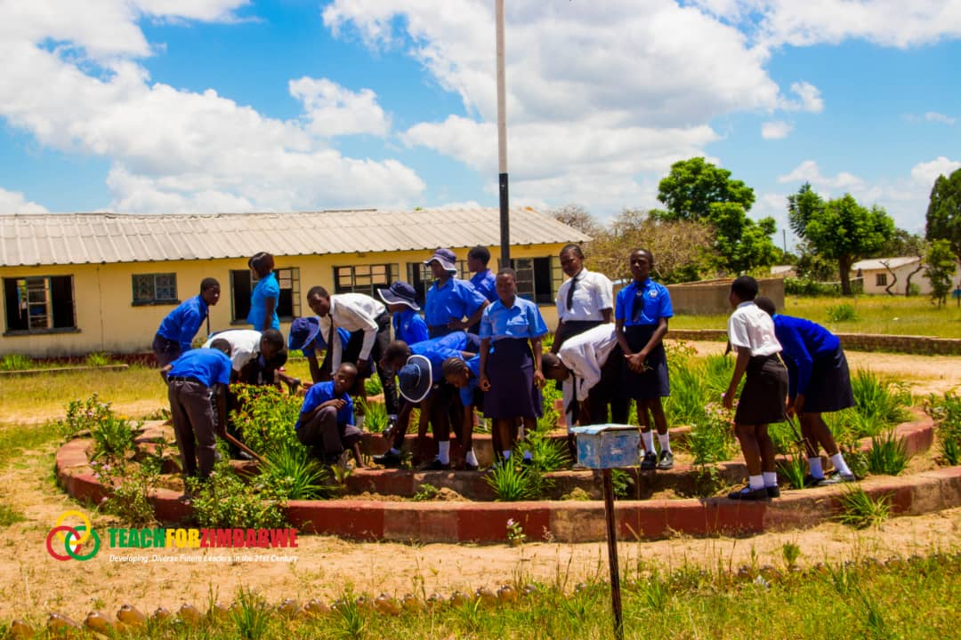 Climate Education and Leadership (CEL) – Teach For Zimbabwe